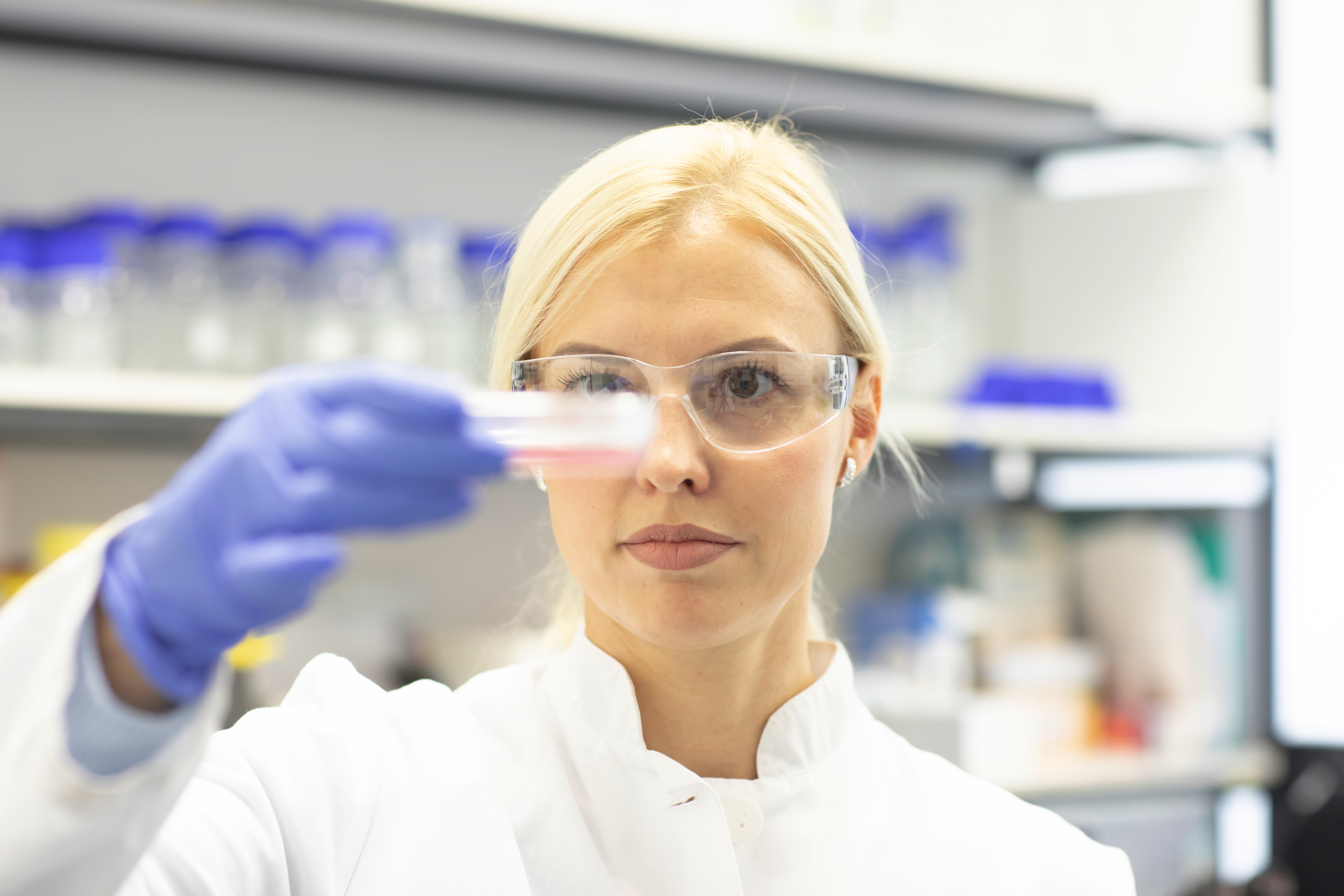 Company | LRWorld.com